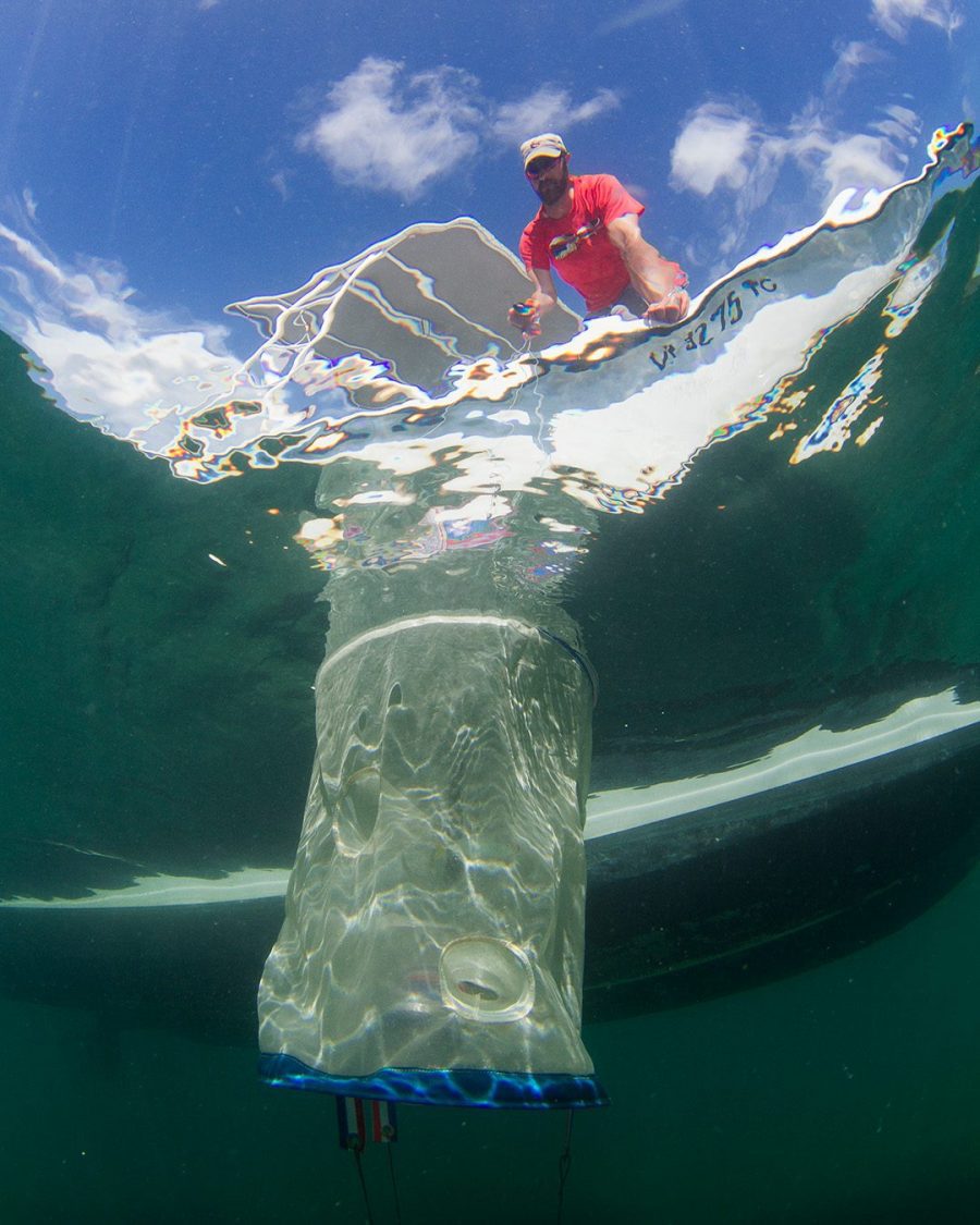 Tracking dispersal of baby fish for better reef conservation