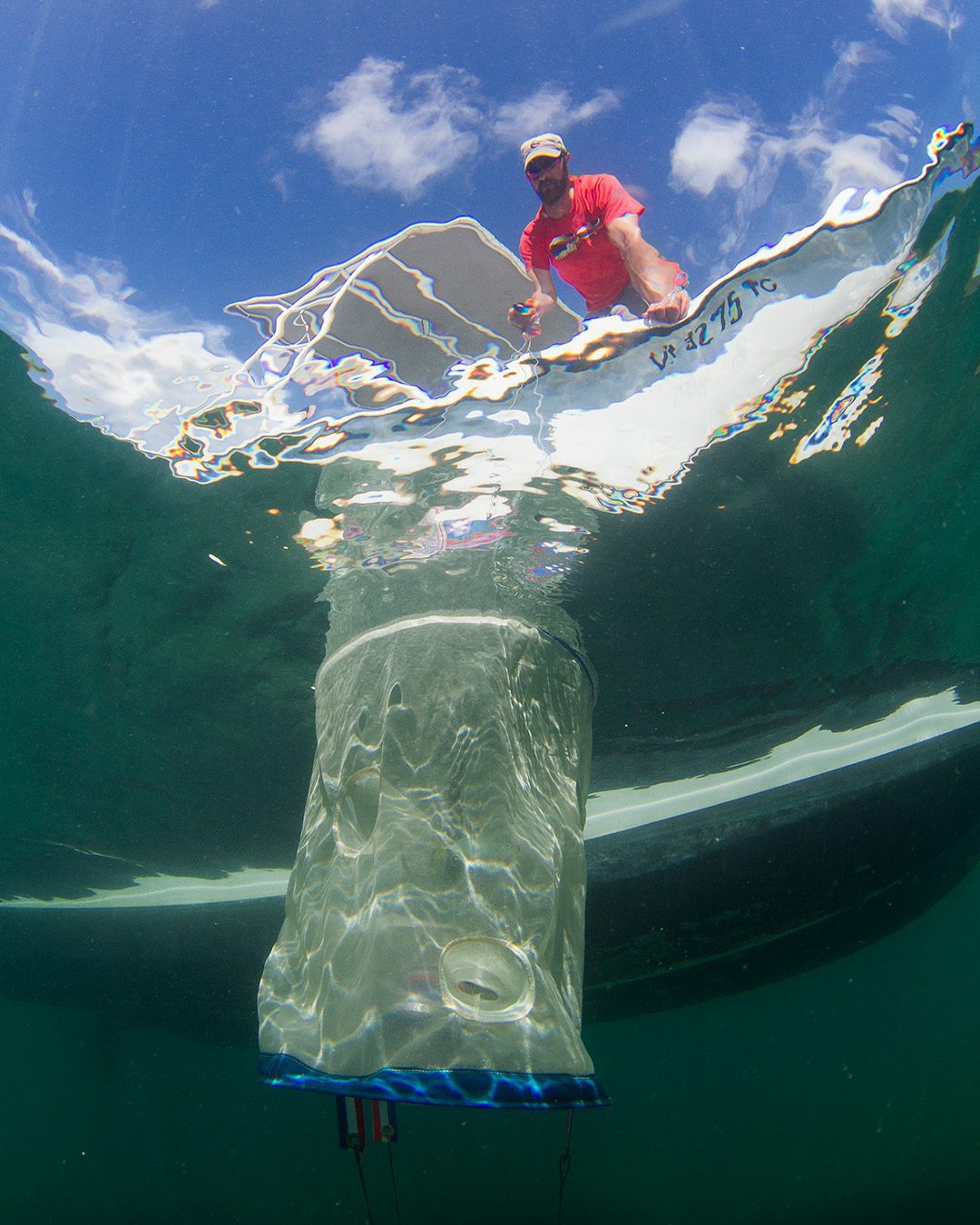 Tracking dispersal of baby fish for better reef conservation