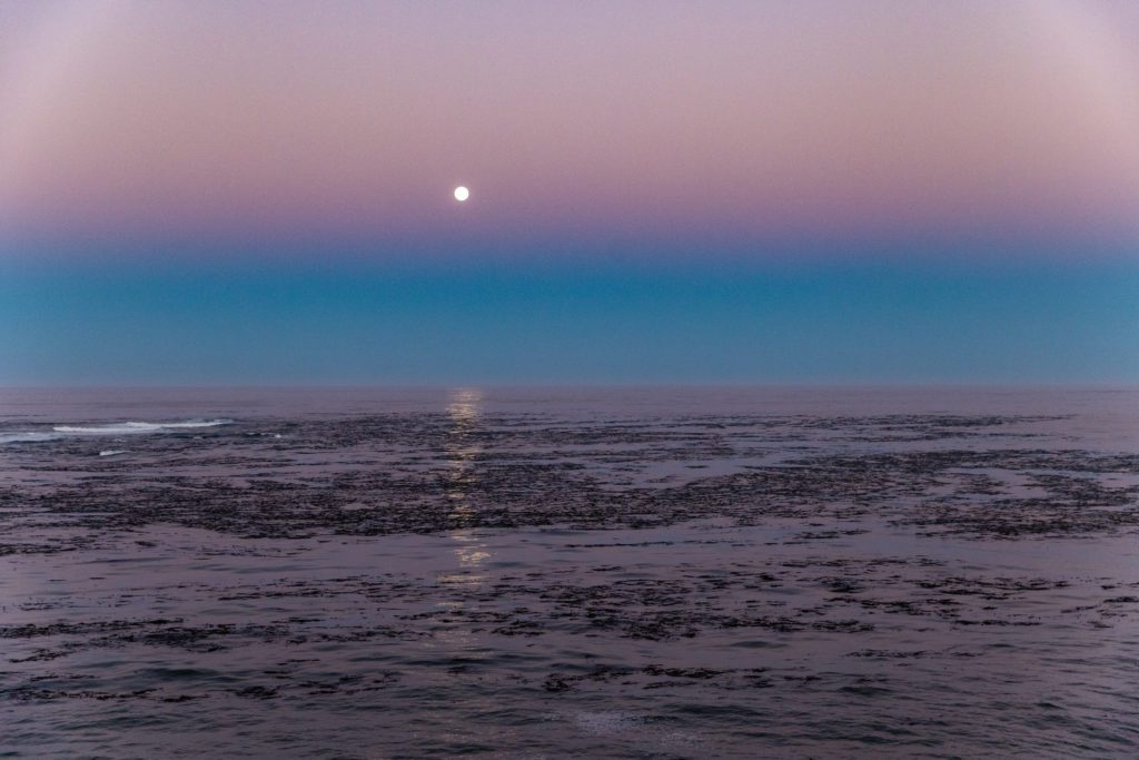 Woods Hole Oceanographic Institution and collaborators launch world’s ...