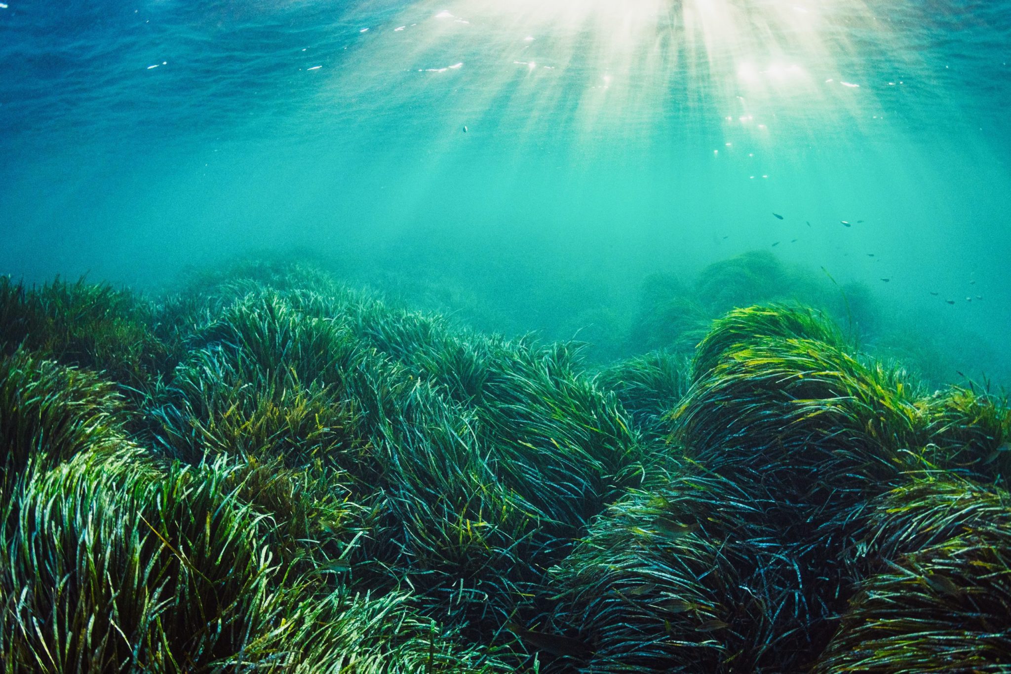 How the Ocean Works - Woods Hole Oceanographic Institution