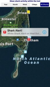 Partly cloudy with a chance of sharks – Woods Hole Oceanographic ...