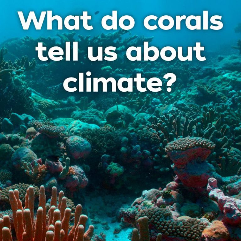 WHOI launches a campaign to raise coral reef awareness