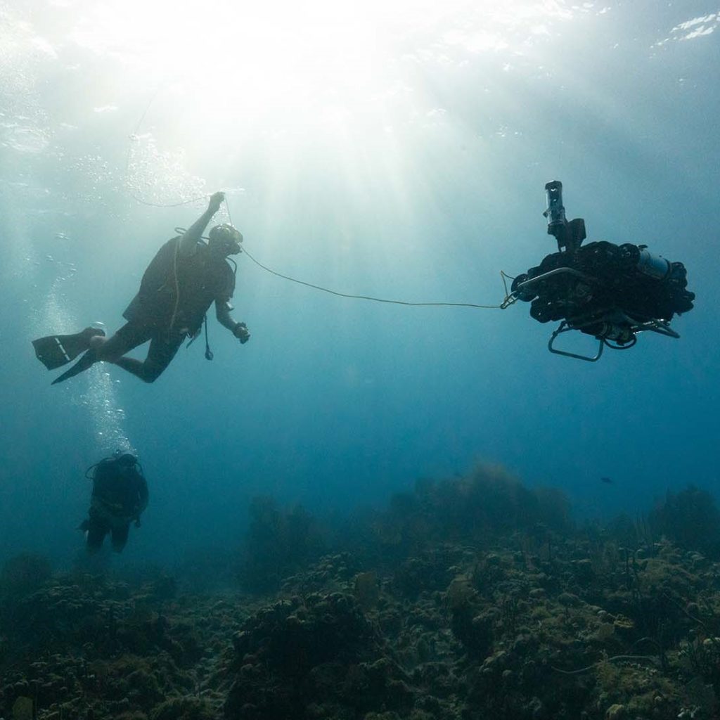 4 Potential Solutions for Corals in Crisis