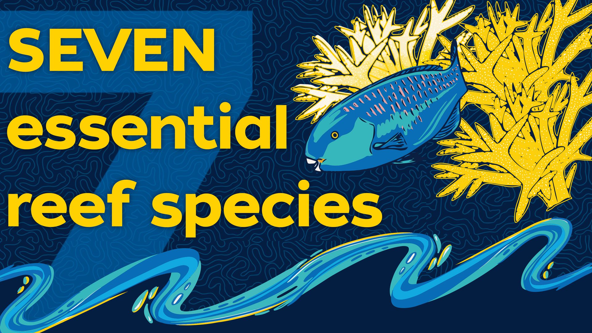 7 Essential Reef Species - Woods Hole Oceanographic Institution