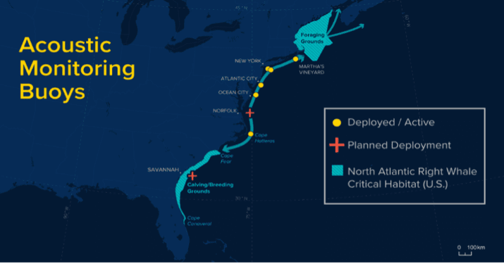 WHOI and CMA CGM Group deploy acoustic monitoring buoy near Norfolk ...