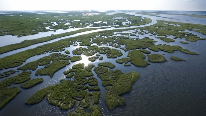 Sea level rises when land sinks – Woods Hole Oceanographic Institution