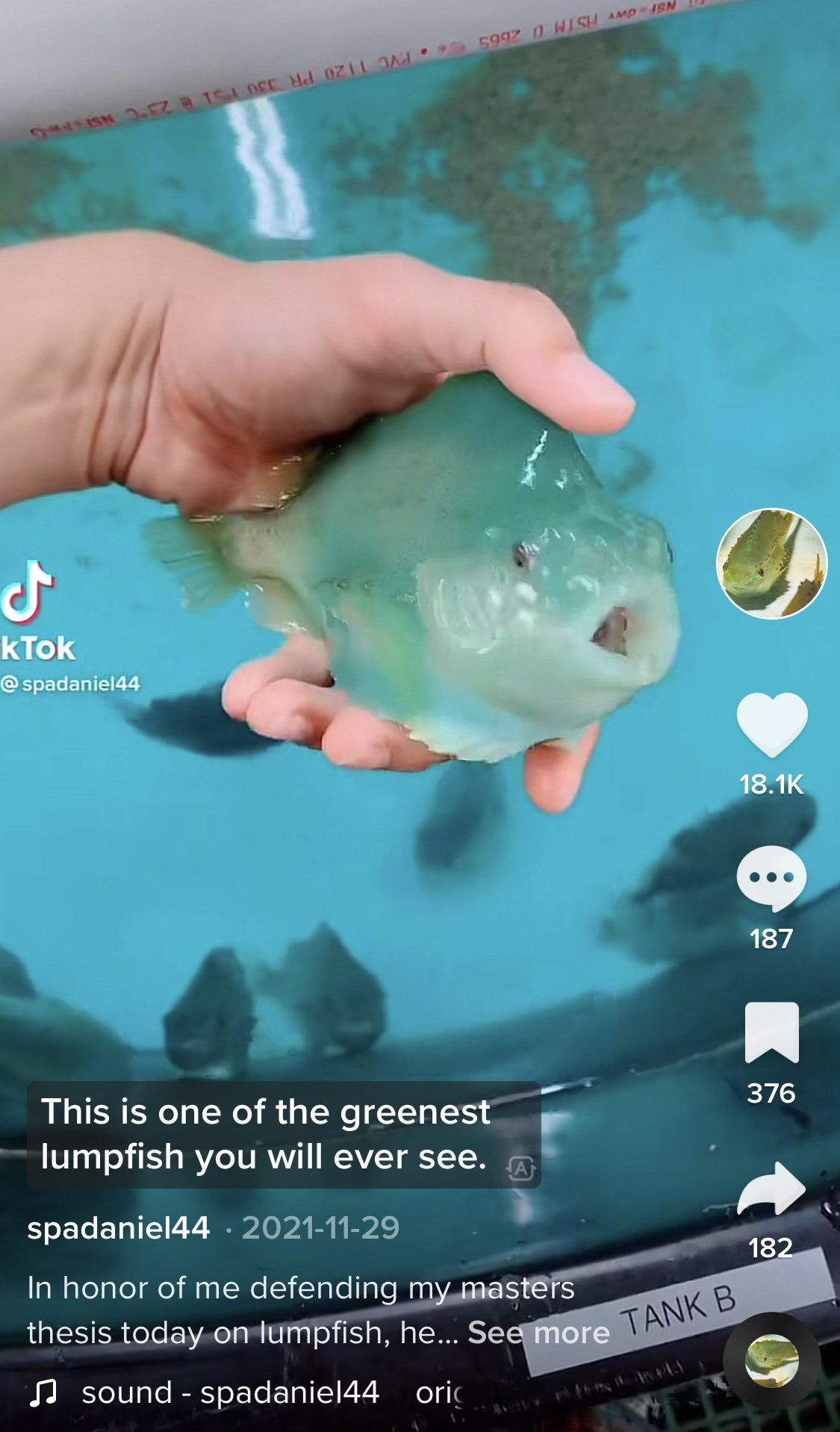 Making a splash on TikTok