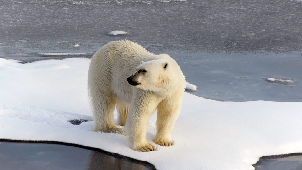 Sea Ice - Woods Hole Oceanographic Institution