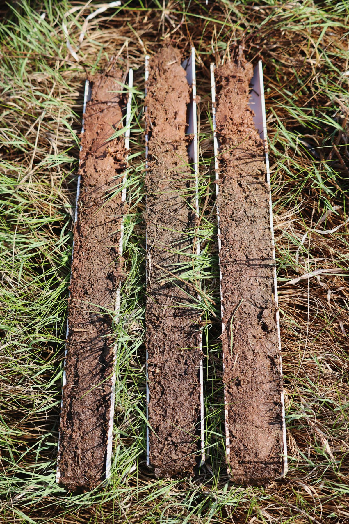 An introduction to marsh bothering