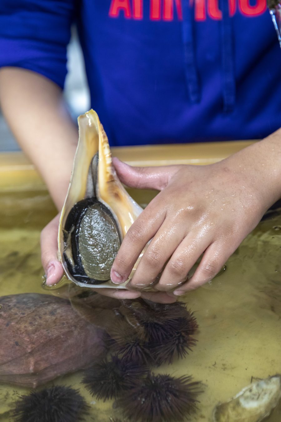 Perkins School for the Blind Students Engage in STEM Learning Through ...