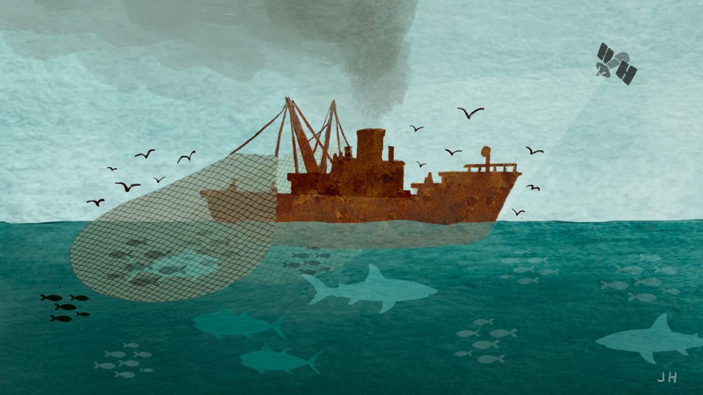 As illegal fishing rages on, is there any hope on the horizon?