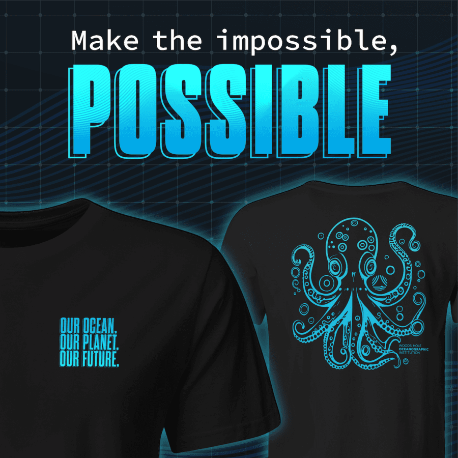 Five Ways to Celebrate World Ocean Month