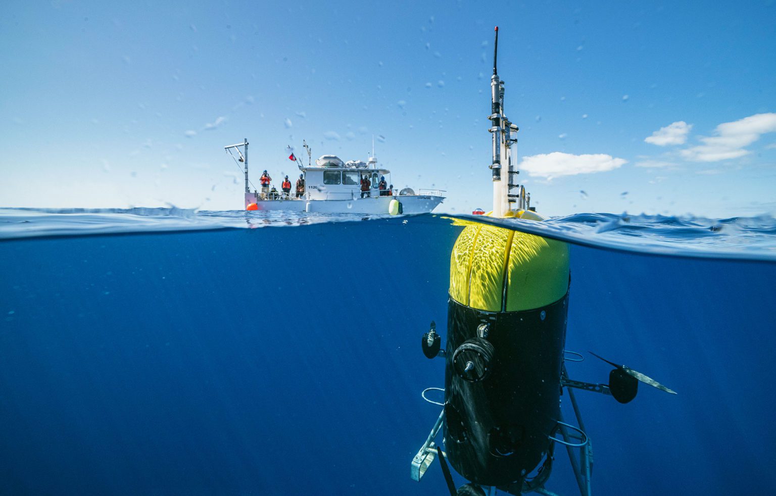 Up close and personal