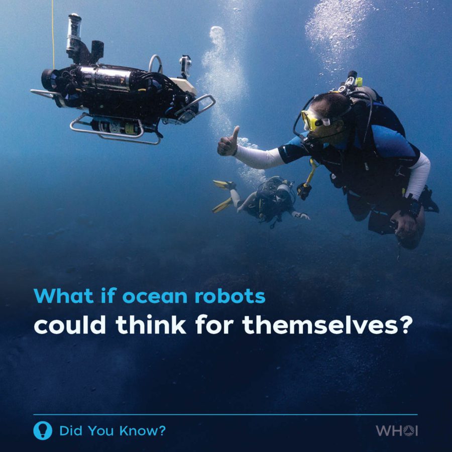 Did you know ocean robots use AI? - Woods Hole Oceanographic Institution