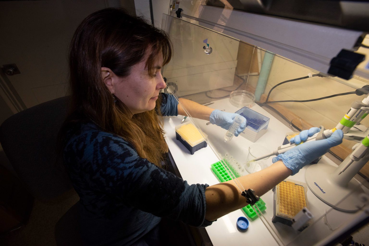 Environmental DNA (eDNA) - Woods Hole Oceanographic Institution