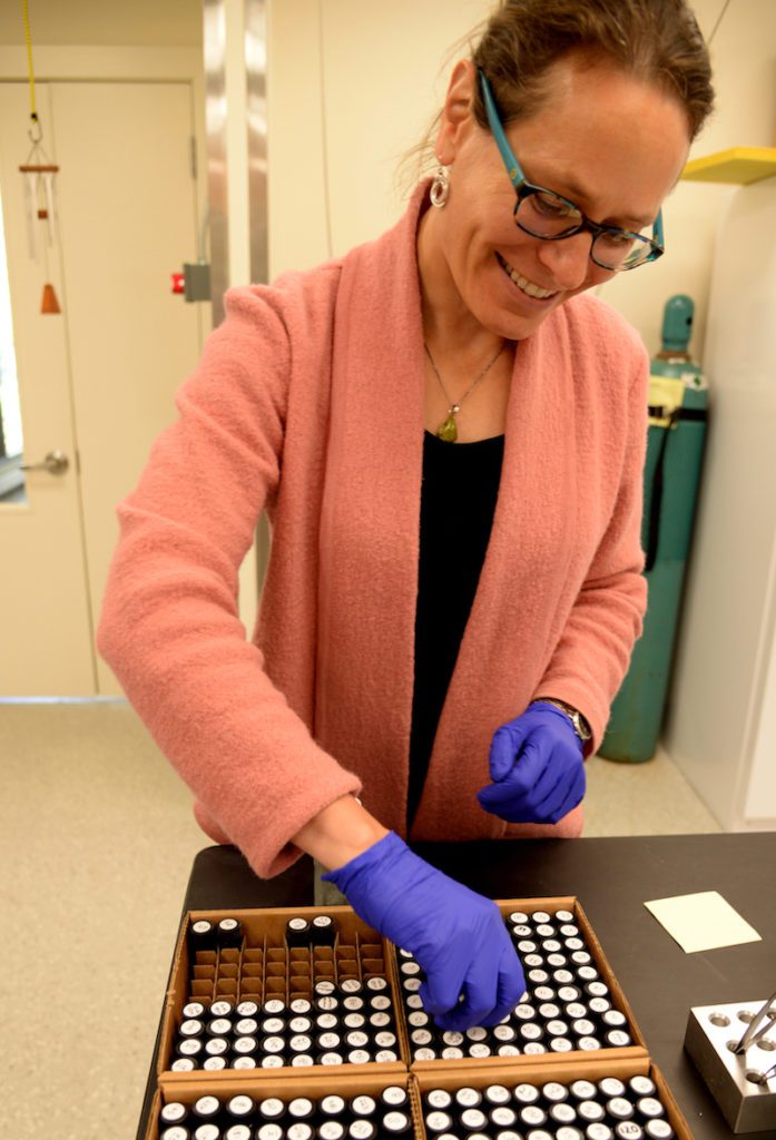 Unlocking the Earth's time capsule