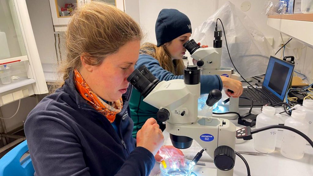 Filming in the Arctic Night - Woods Hole Oceanographic Institution