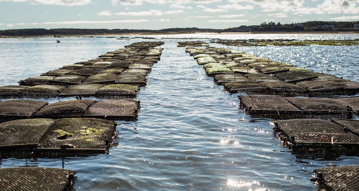 Sustainable Ocean – Woods Hole Oceanographic Institution