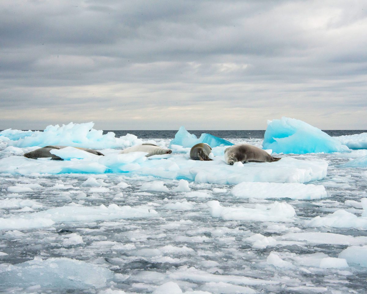 The Polar Imperative – Woods Hole Oceanographic Institution