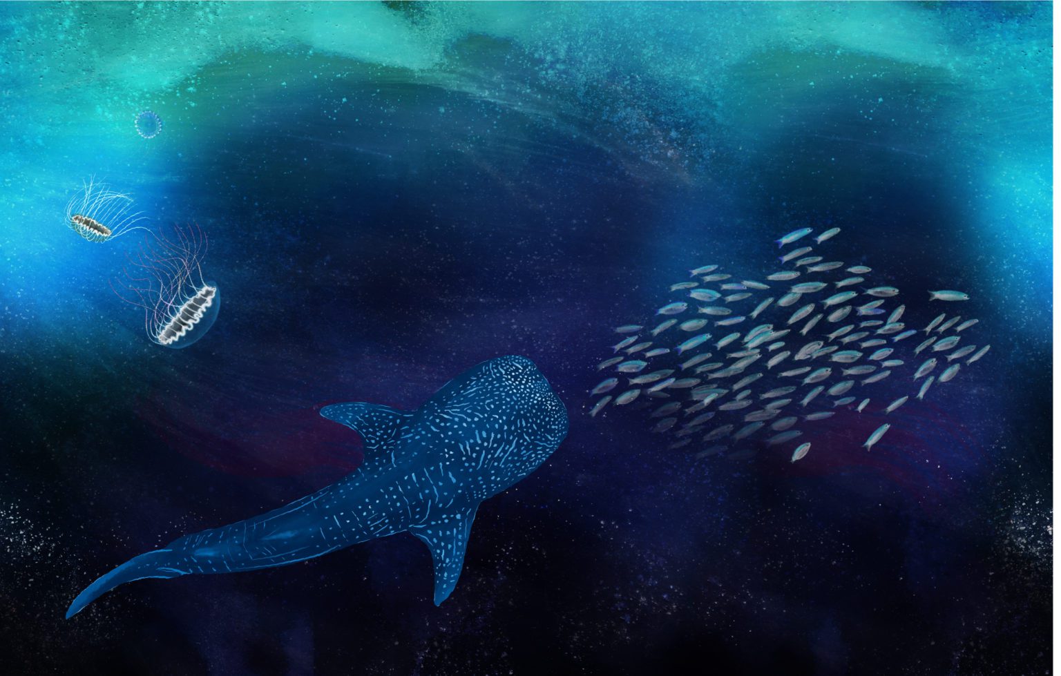 Oceanus - Woods Hole Oceanographic Institution