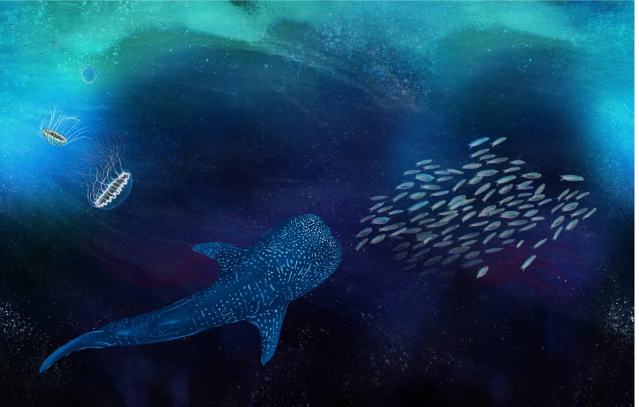 Oceanus - Woods Hole Oceanographic Institution