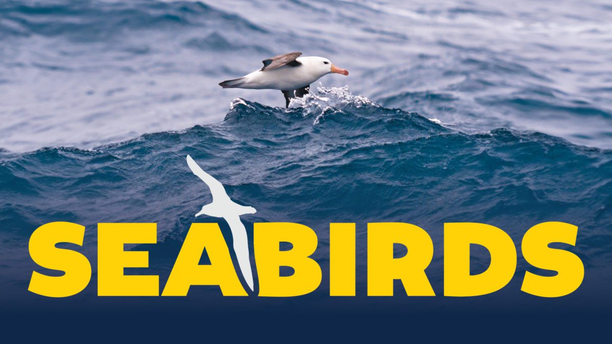 Ocean Encounters Virtual Event Series - Woods Hole Oceanographic ...