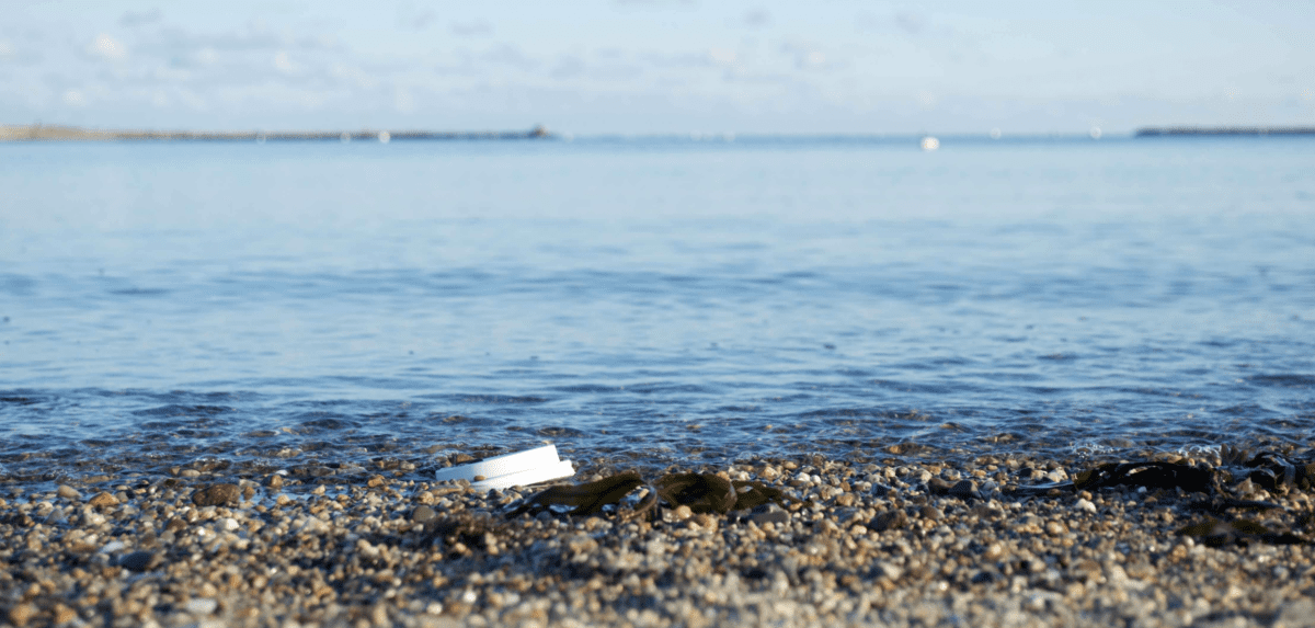Accounting for Plastic Persistence Can Minimize Impacts