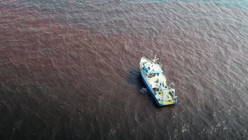 FAQs about Ocean Alkalinity Enhancement – Woods Hole Oceanographic ...