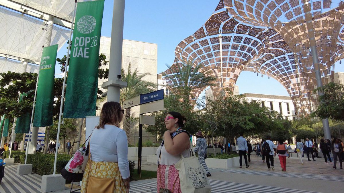 Four Key Takeaways From COP28 - Woods Hole Oceanographic Institution