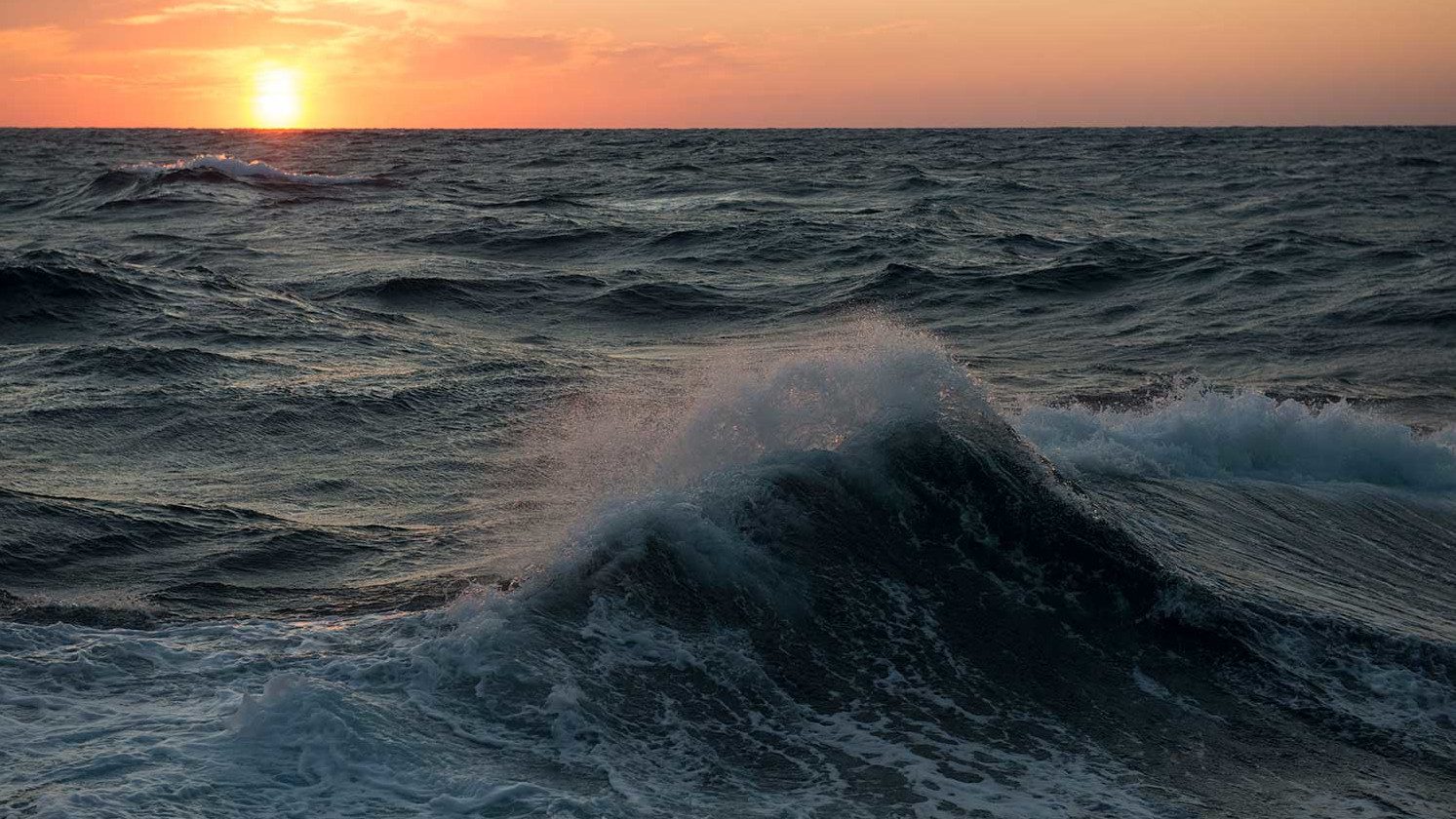 What is a marine heatwave? - Woods Hole Oceanographic Institution