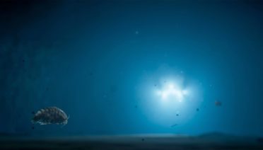 News & Insights - Woods Hole Oceanographic Institution
