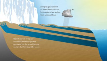 News & Insights - Woods Hole Oceanographic Institution