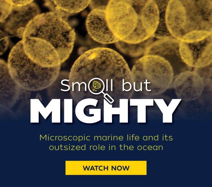 Ocean Encounters Virtual Event Series - Woods Hole Oceanographic ...