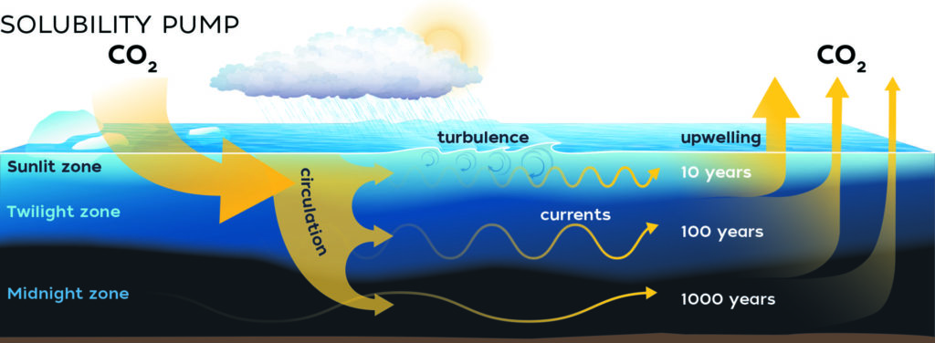 CO Solubility Pump – Woods Hole Oceanographic Institution