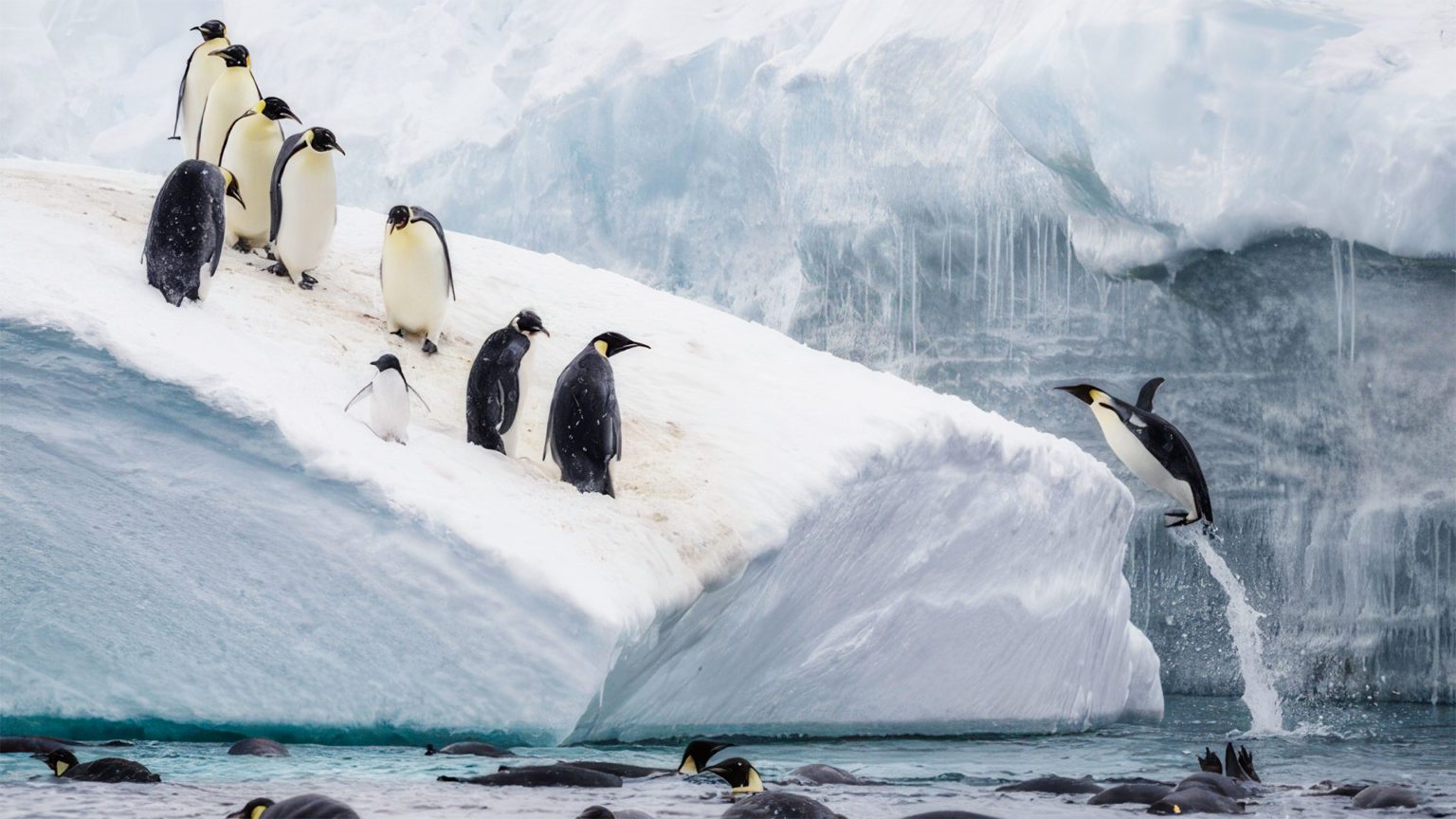 Breaking Point - Woods Hole Oceanographic Institution