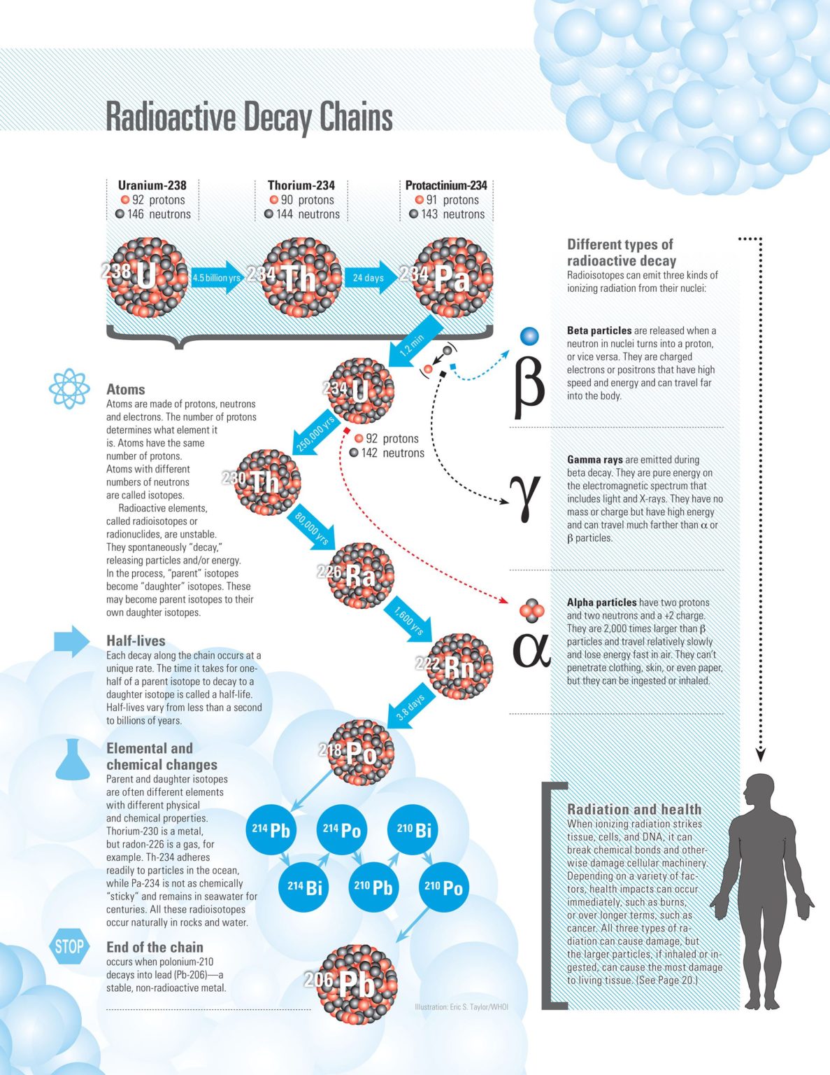 Infographic depicting radioactive decay chains – Woods Hole ...