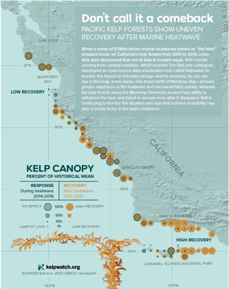 The 10,000-foot view