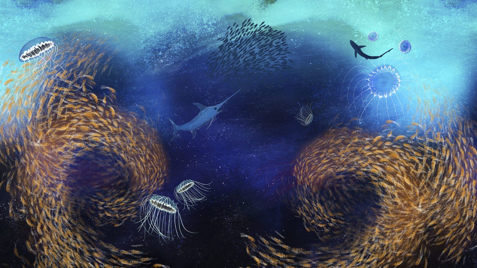 Twilight Zone – Woods Hole Oceanographic Institution