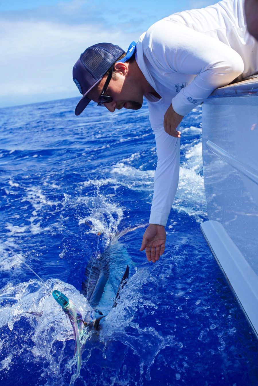 Tracking big fish at fine scales – Woods Hole Oceanographic Institution