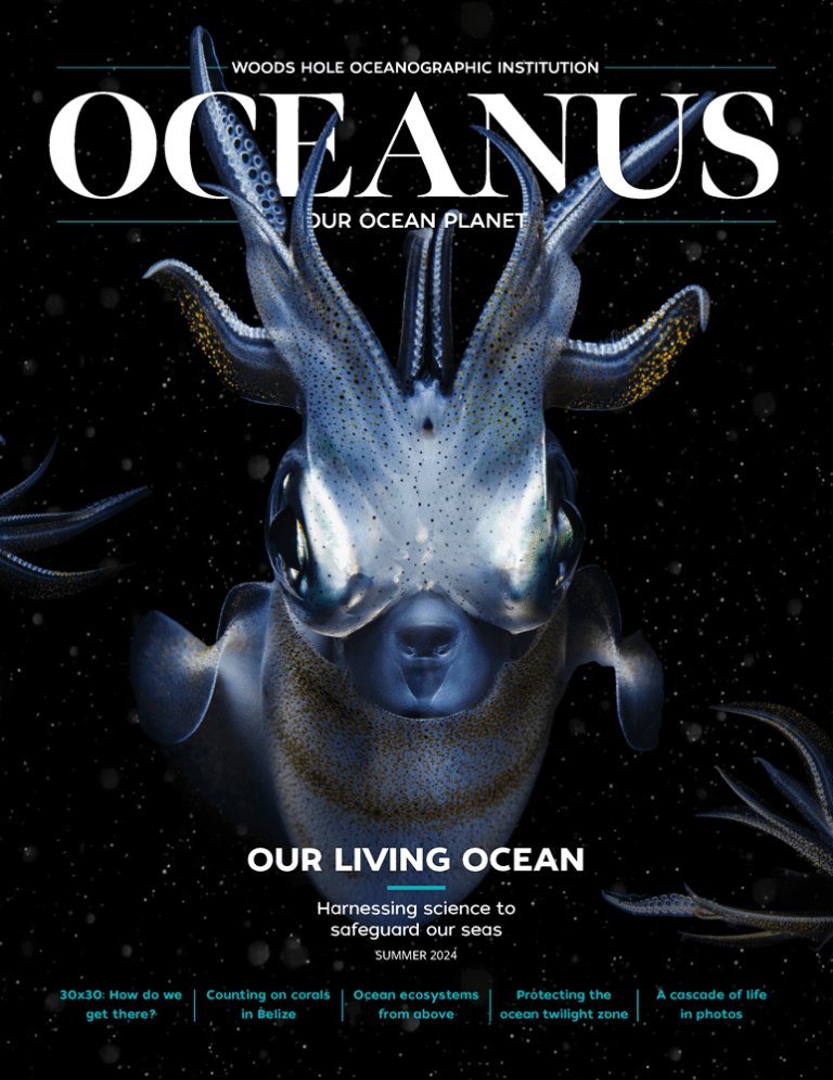 Fertilizing the Ocean with Iron – Woods Hole Oceanographic Institution