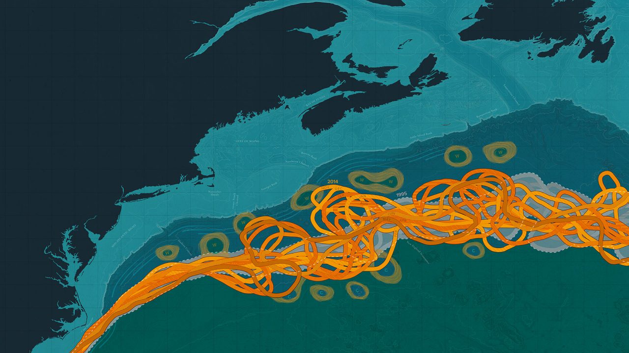 Ocean in Motion - Woods Hole Oceanographic Institution