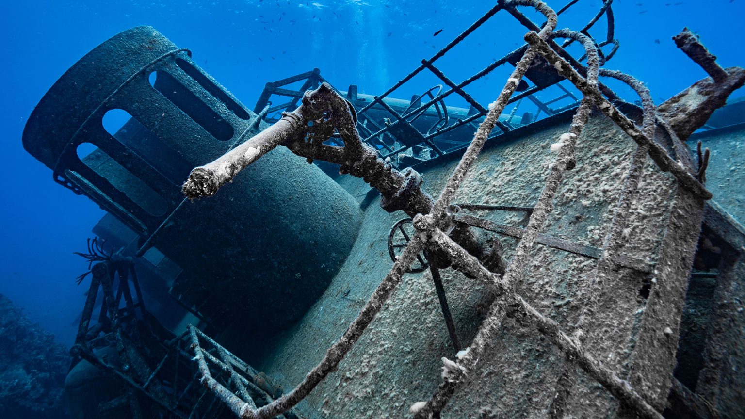 How do wrecks impact marine life? – Woods Hole Oceanographic Institution