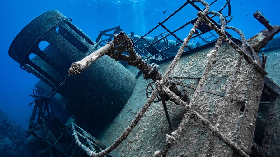 How do wrecks impact marine life? - Woods Hole Oceanographic Institution