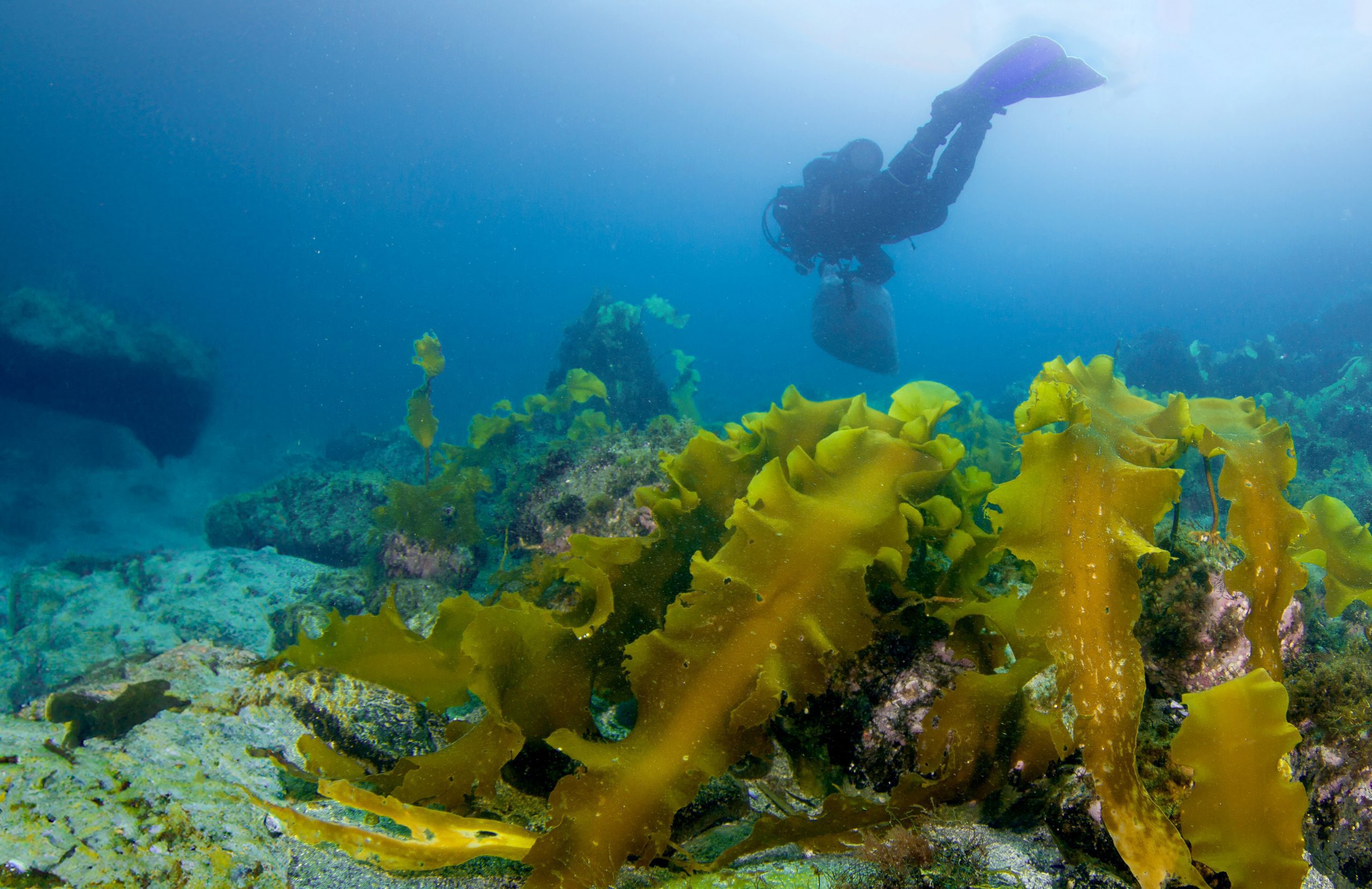 Oceanus Magazine | Woods Hole Oceanographic Institution