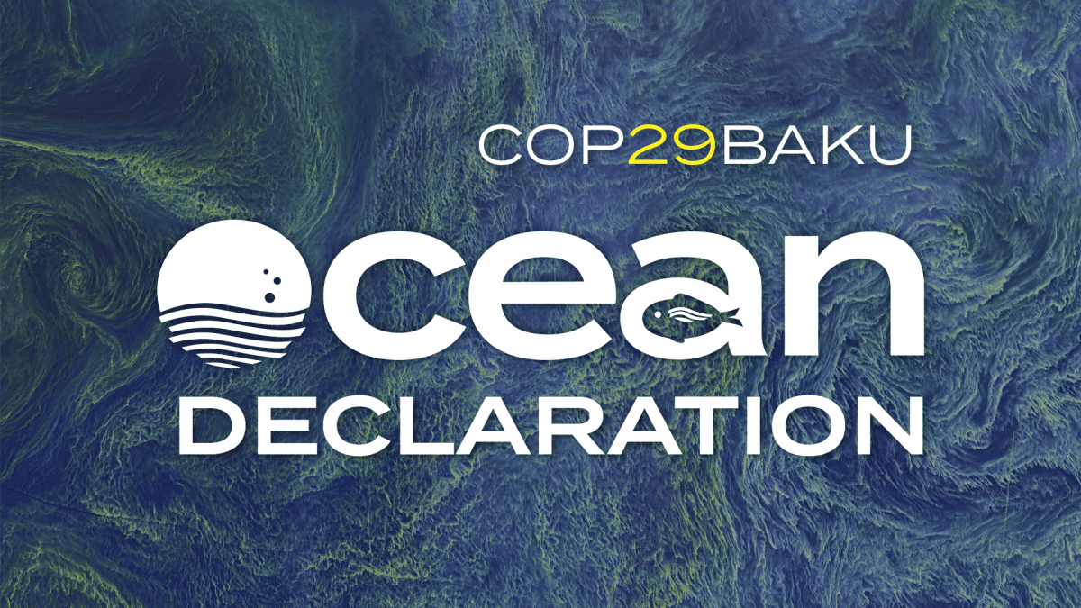 Ocean leaders renew focus on the sea ahead of UN summit