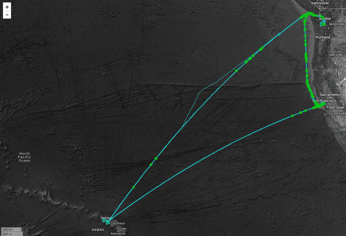 Ship-mounted camera systems increase protections for marine mammals ...