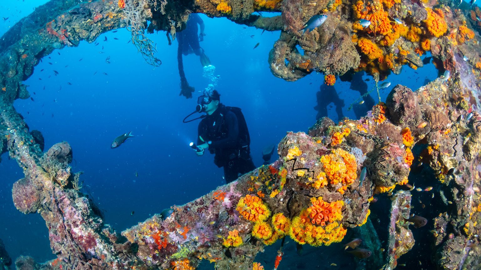 Oceanus Magazine | Woods Hole Oceanographic Institution