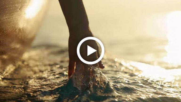 Photosynthesis vs. Chemosynthesis – Woods Hole Oceanographic Institution