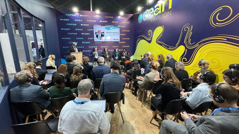 5 Takeaways for the Ocean from the COP29 Climate Conference – Woods ...