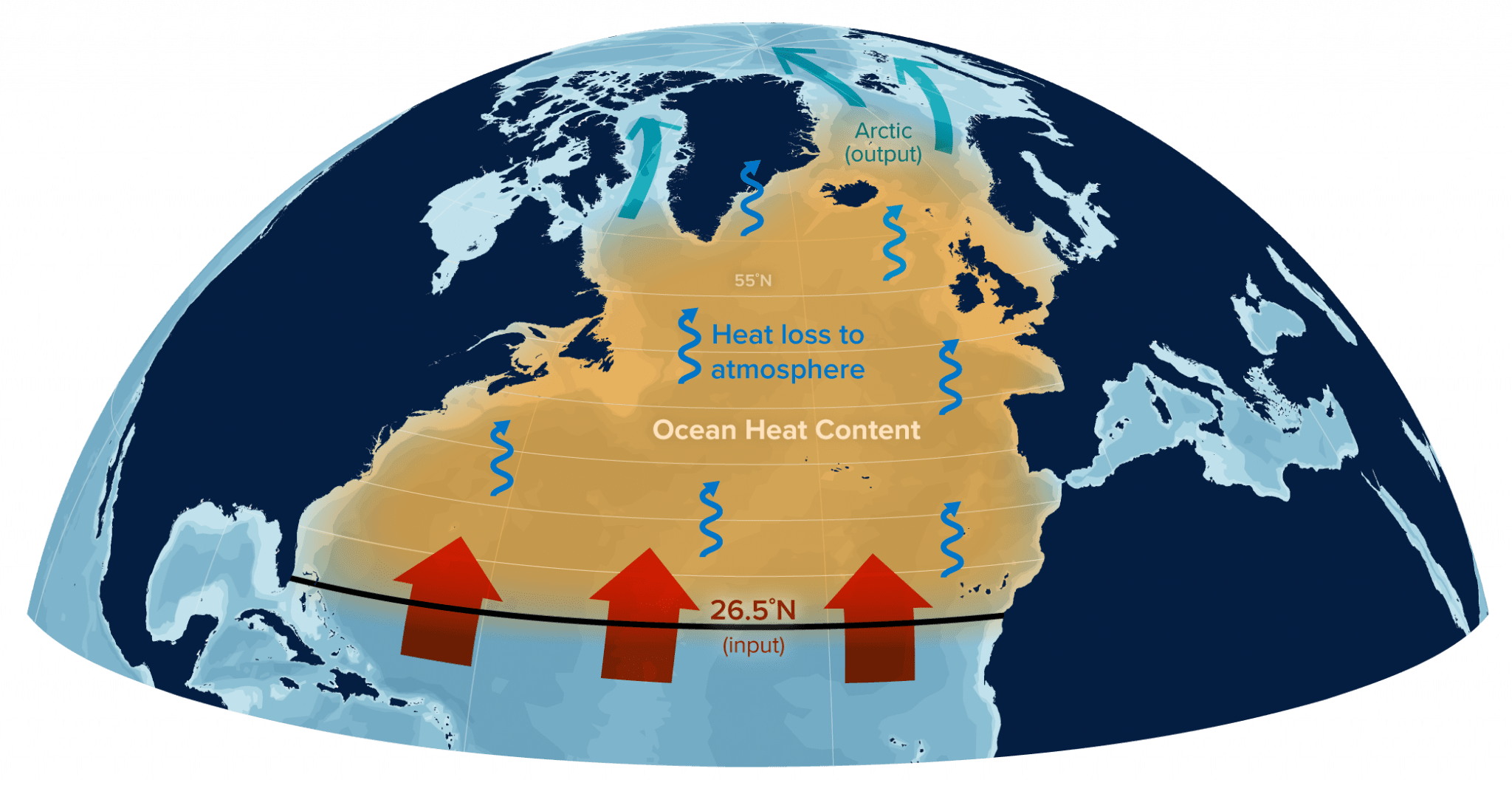 New study finds that critical ocean current has not declined in the ...